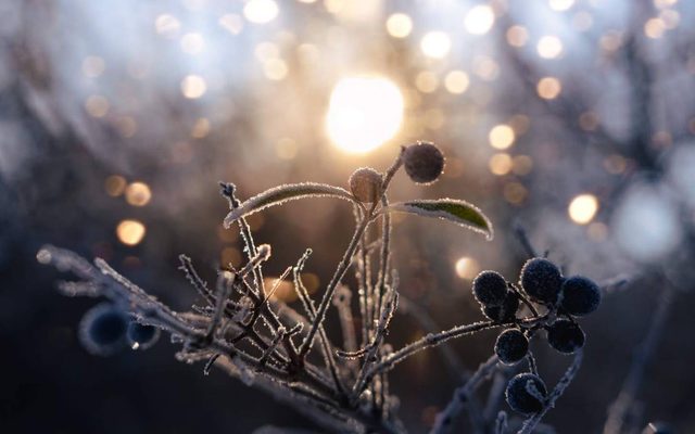 Winter Solstice Wellness Reset: An Evening of Deep Restoration & Light ...
