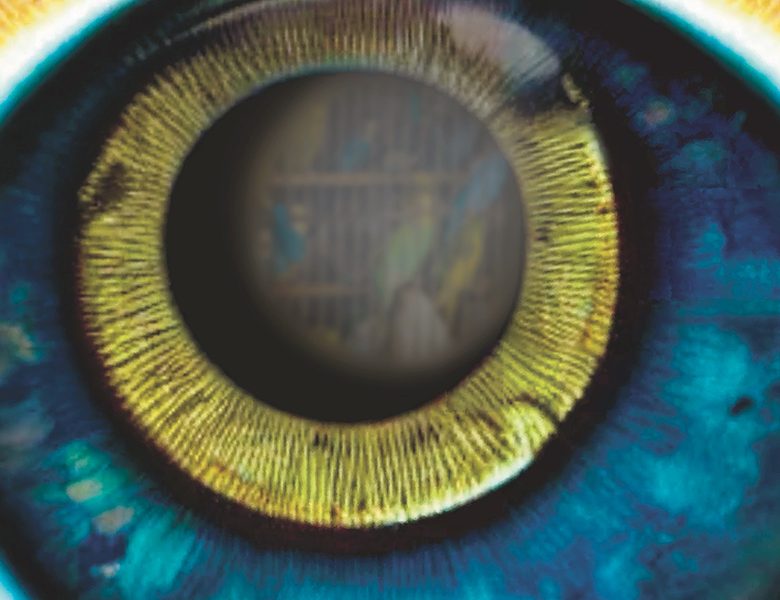 What's On | Sunderland Culture